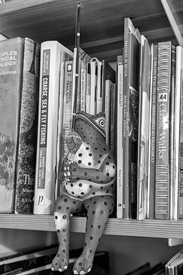 The frog's a fool... | 60plus11 | Blipfoto