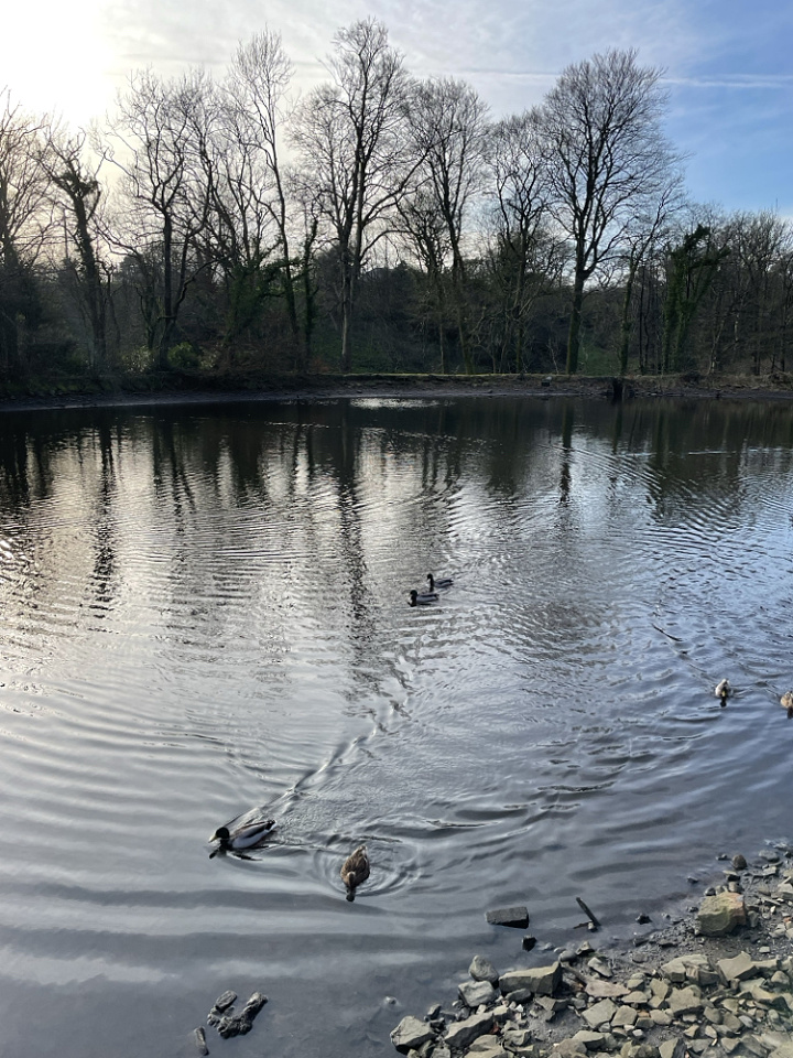 Chipping Mill Pond. | Lovetrees | Blipfoto
