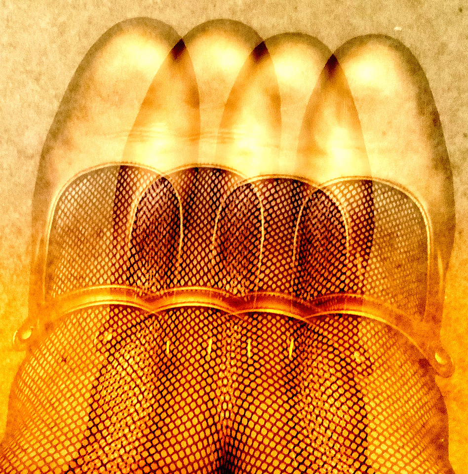 Best Foot Forward | mambo | Blipfoto