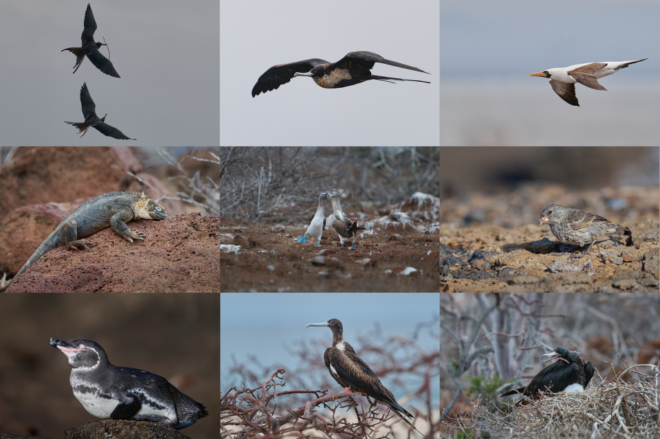 Editing | Sheol | Blipfoto