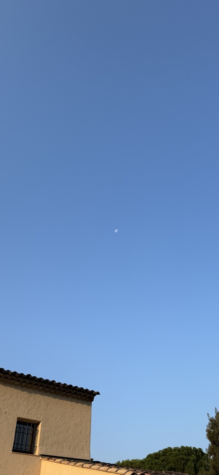 The first picture I took... | DawnMH | Blipfoto