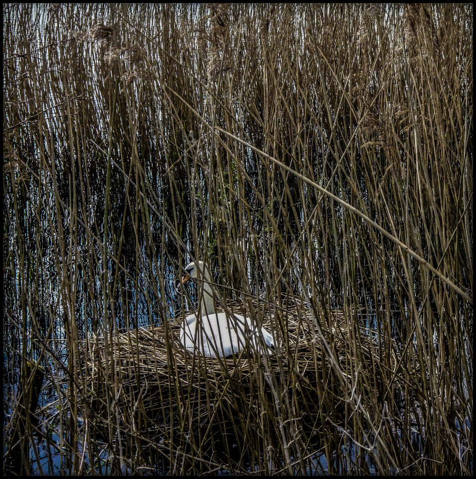 Loch | ForthPorts | Blipfoto