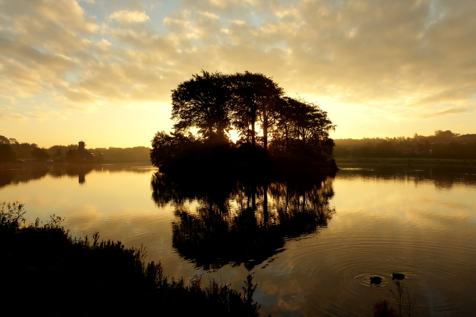 Early morning light .... | Alichap21 | Blipfoto
