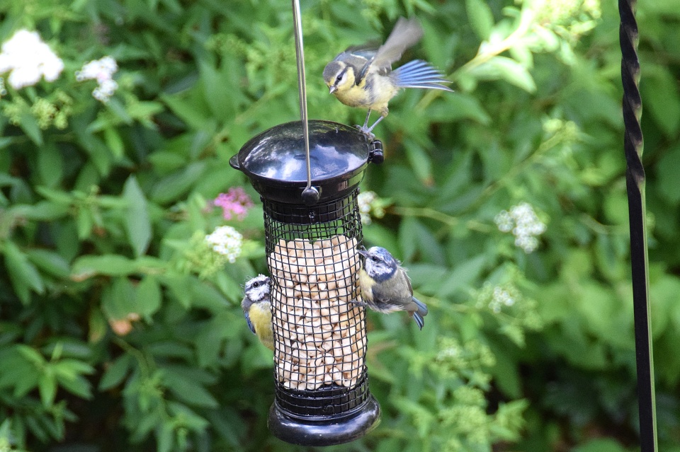 Is there room on top? | TimM | Blipfoto