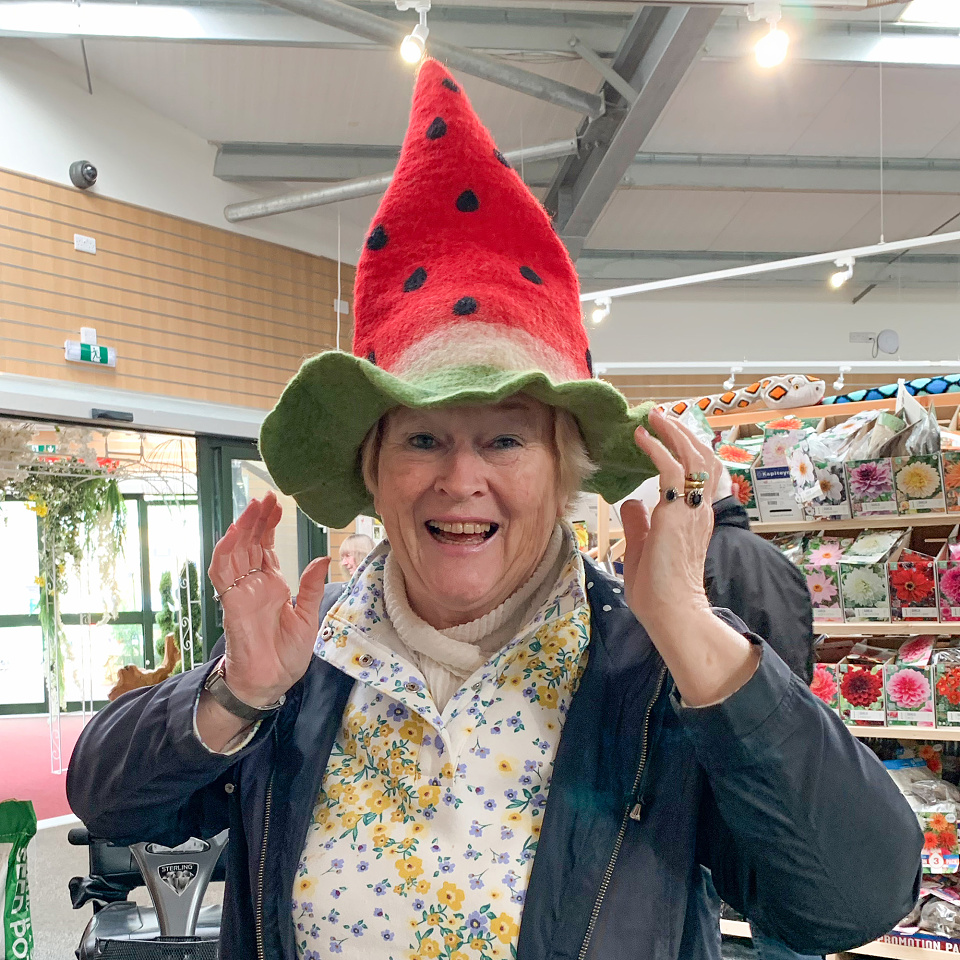 Busy day . . . | suejay50 | Blipfoto