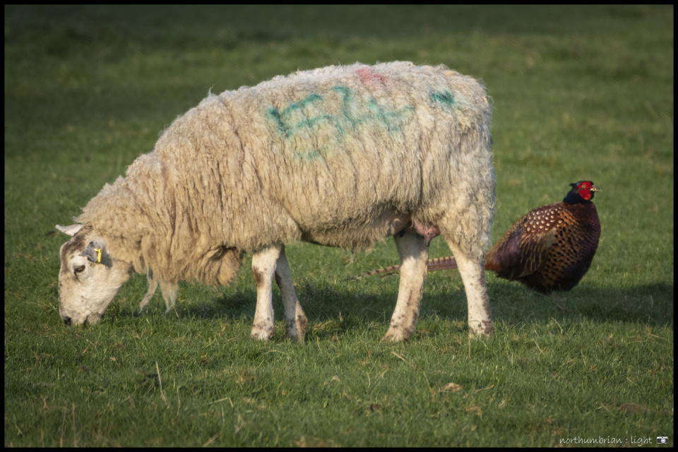 Me and ... | RobinDown | Blipfoto