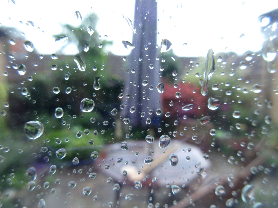 Rain! | RosInAus | Blipfoto