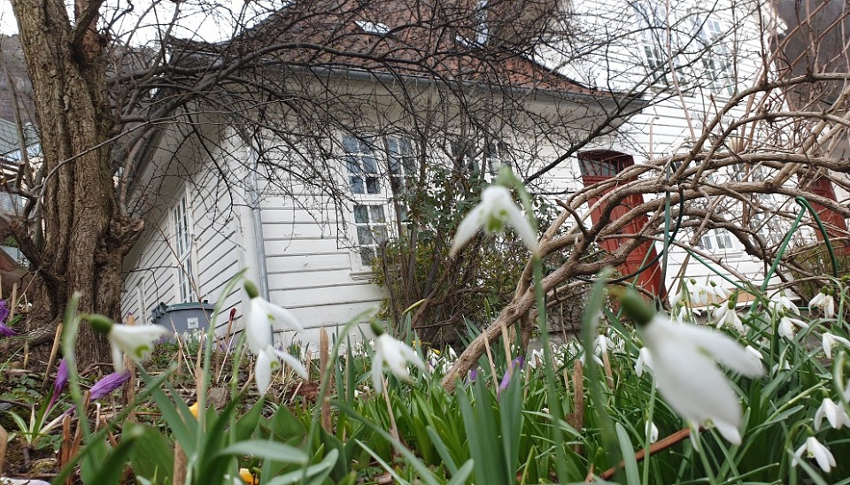 Spring springing? | Purko | Blipfoto