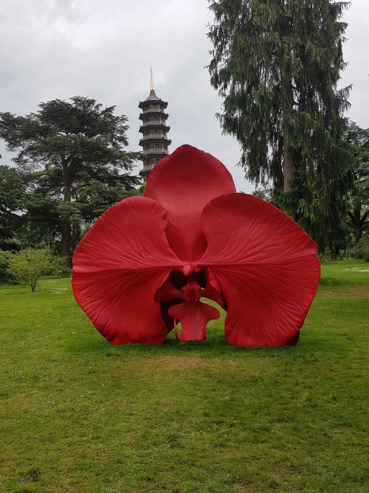 Burning Desire | Redberry | Blipfoto