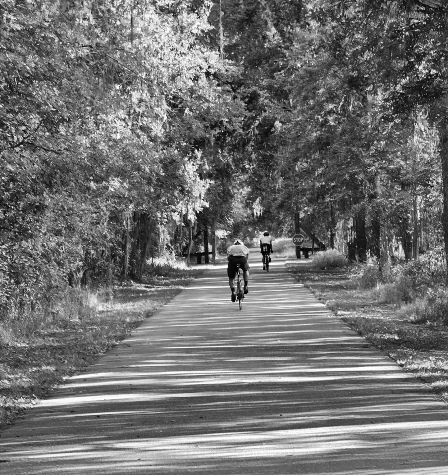 Riders | bugsman | Blipfoto