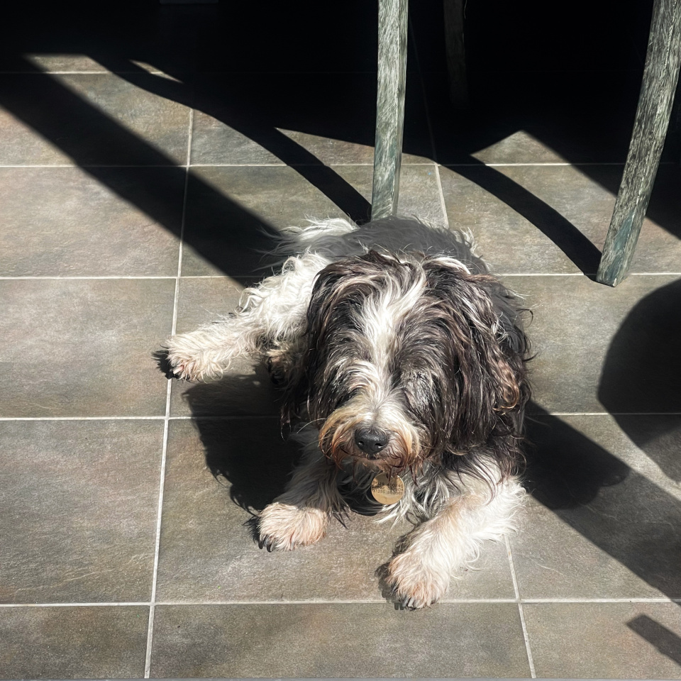 Radish | sk | Blipfoto