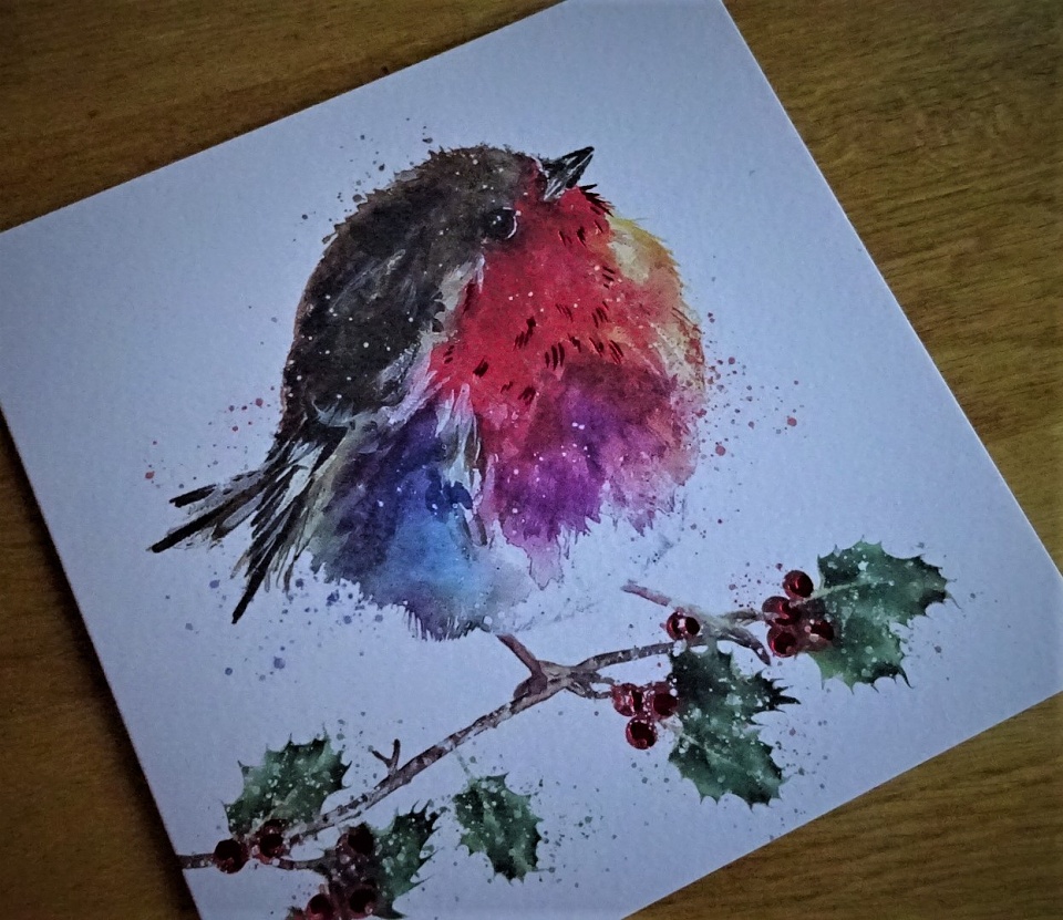 Robin | Skyegirl | Blipfoto