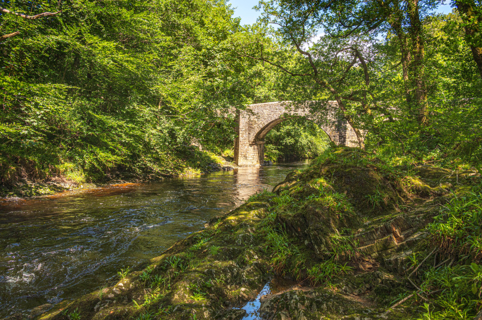 The Dart at Holne Bridge | RockArea | Blipfoto