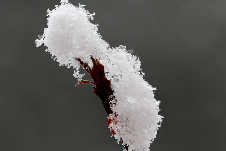 Colorado powder | stillandknow | Blipfoto