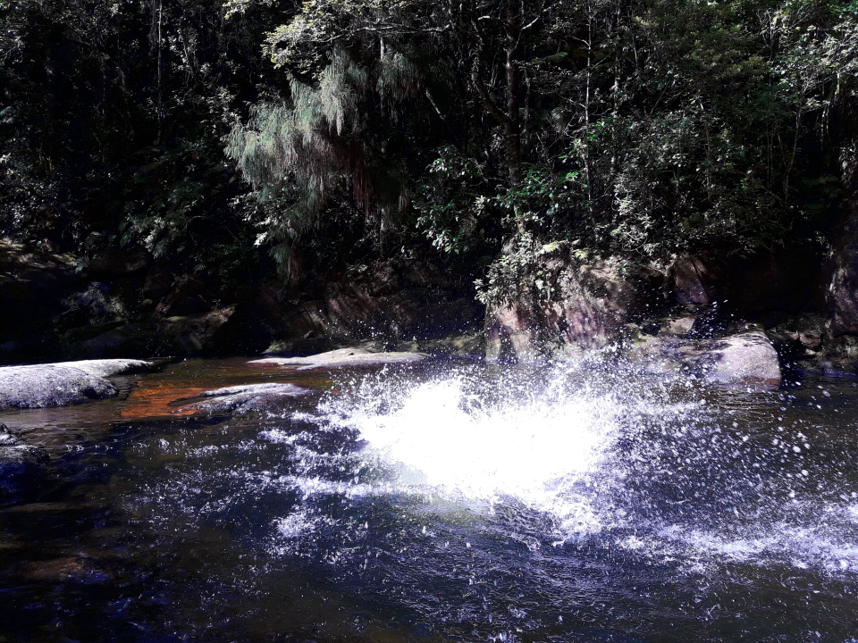 Stream Crash Splash | DawgGal | Blipfoto