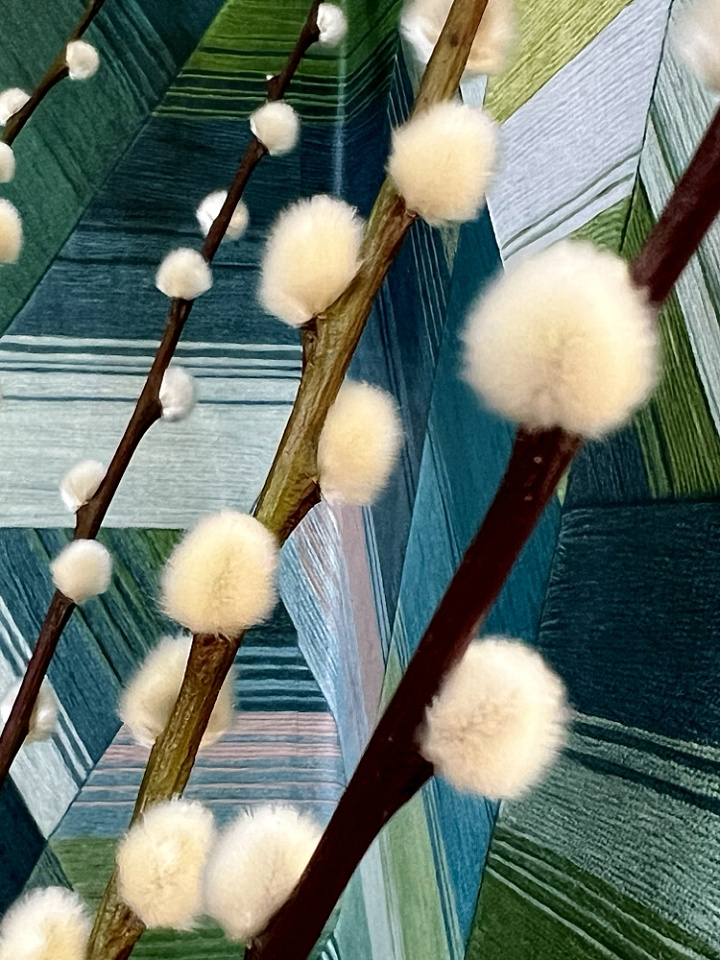 TT | Romay | Blipfoto