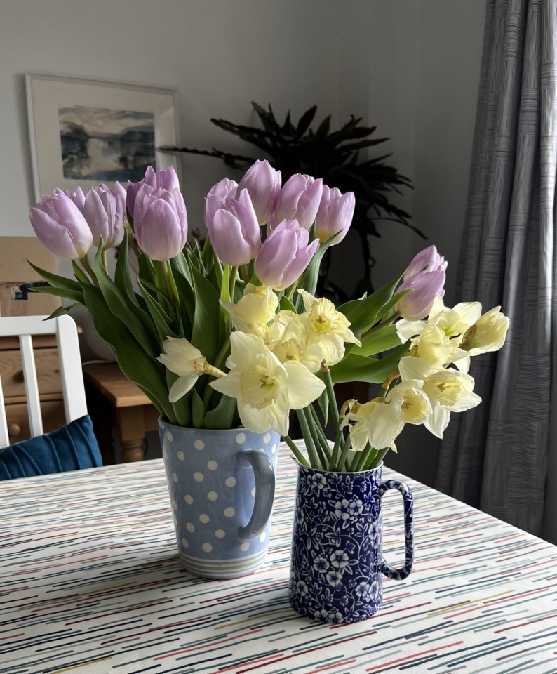 Jugs | CherryR | Blipfoto