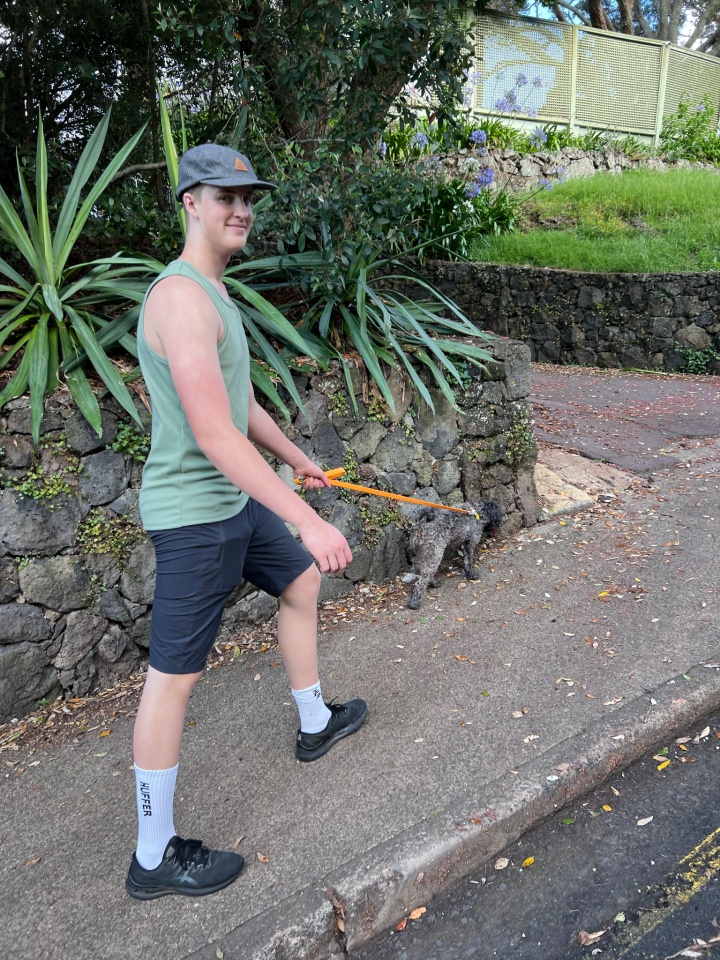 Walking up Mt Albert ….. | Daring2Go | Blipfoto