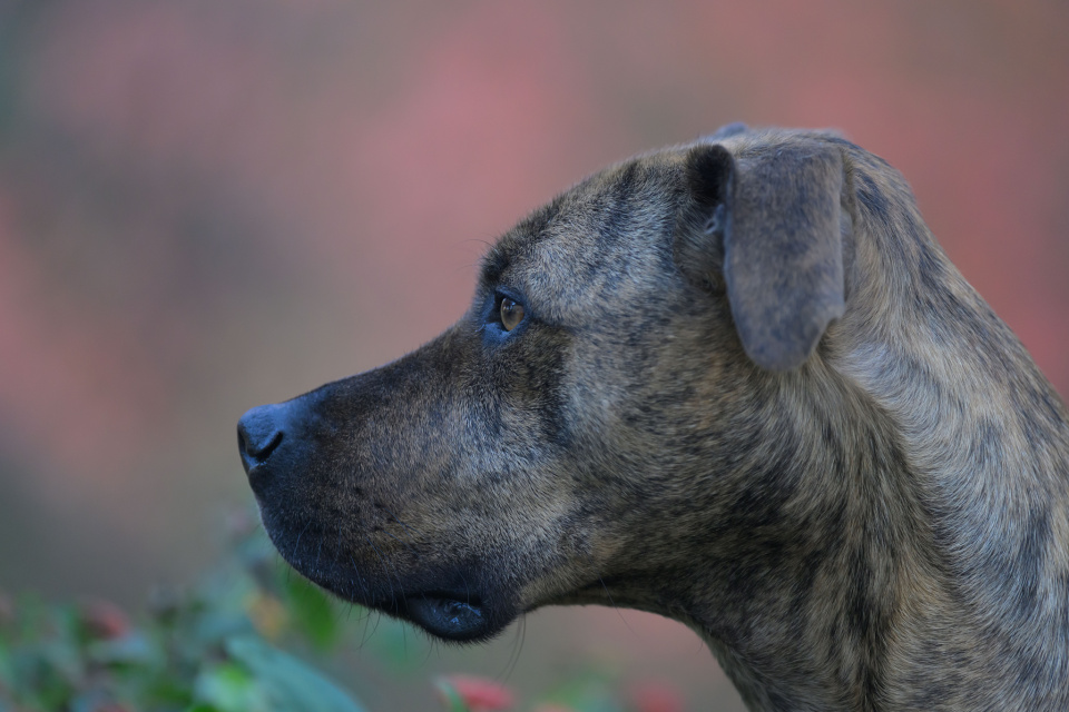 Happy | dbifulco | Blipfoto