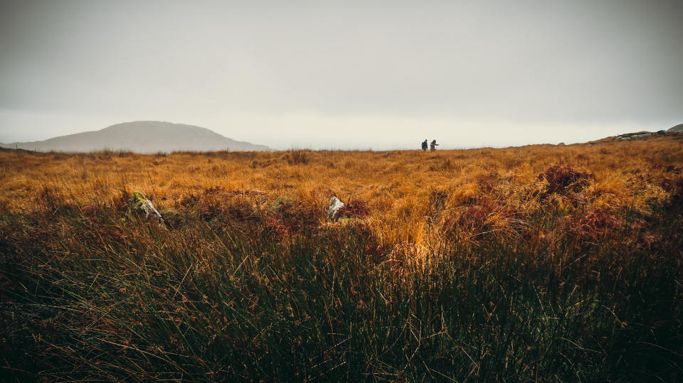 A dispatch from Kerry 1 | freespiral | Blipfoto