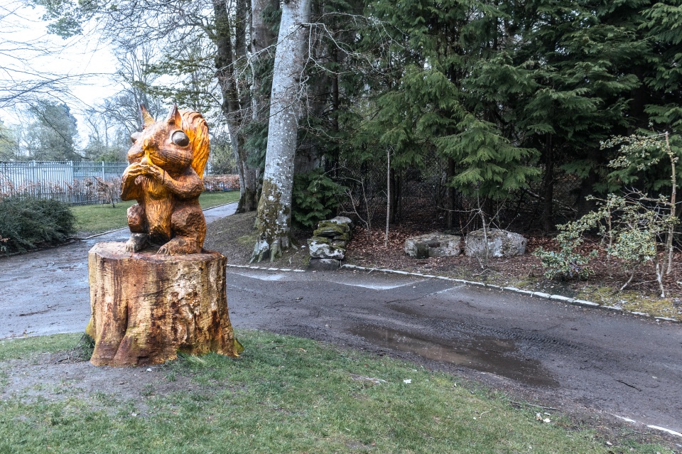 Hazlehead Park | Robin | Blipfoto