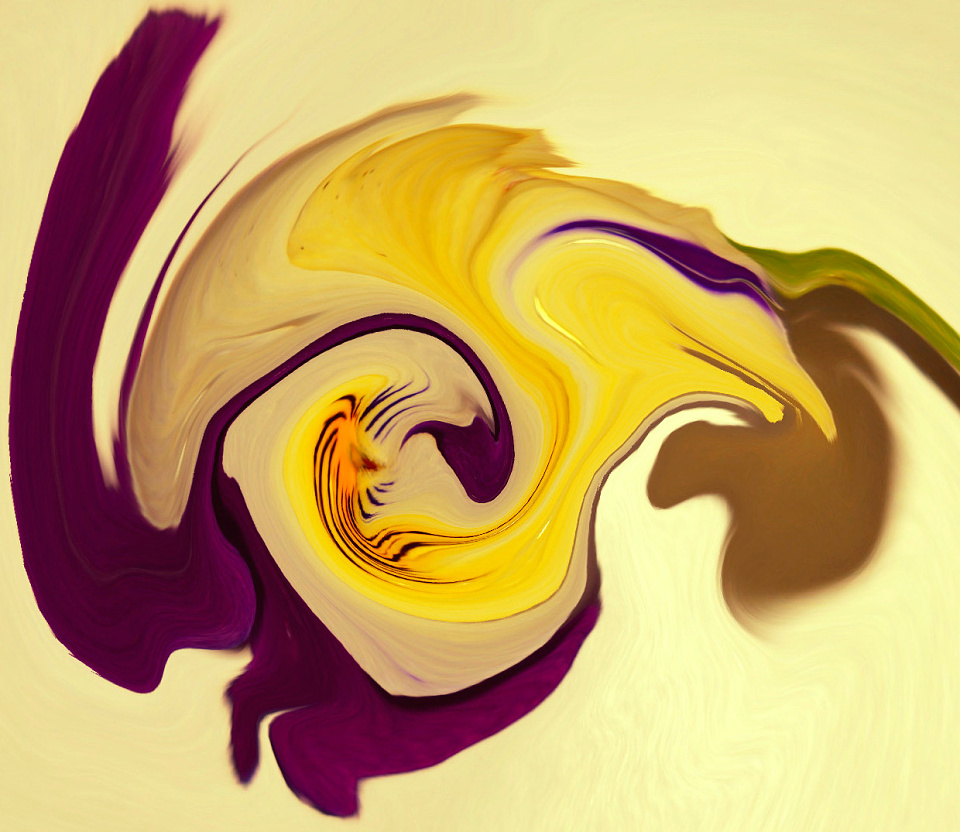 Pansy… | mambo | Blipfoto