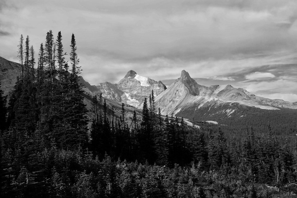 Ansell Adams and the Saskatchewan Glacier | isbi | Blipfoto