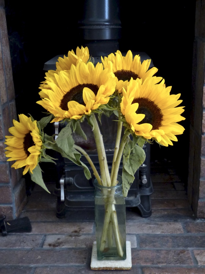 Sunday sunflowers | seizetheday | Blipfoto