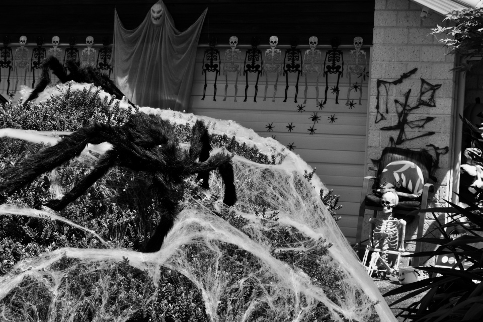 MM458 - Halloween. | AndrewNZ | Blipfoto