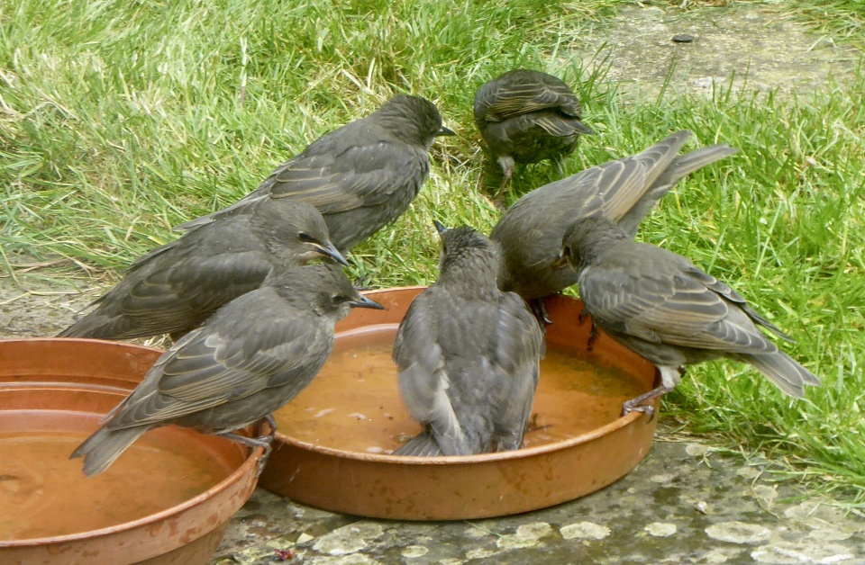 Bath Time | Kate64 | Blipfoto