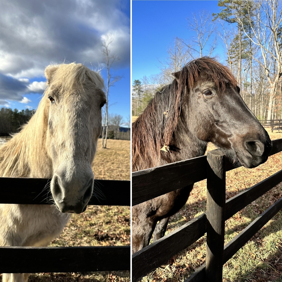 We Are Both Annoyed | Kimb | Blipfoto