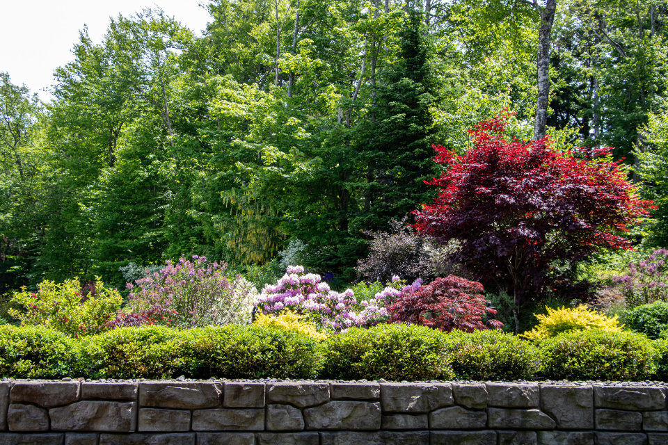 Hot! | KathyH58 | Blipfoto