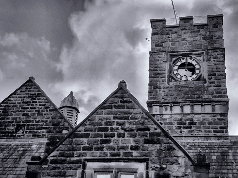 Gone With the Wind | mambo | Blipfoto