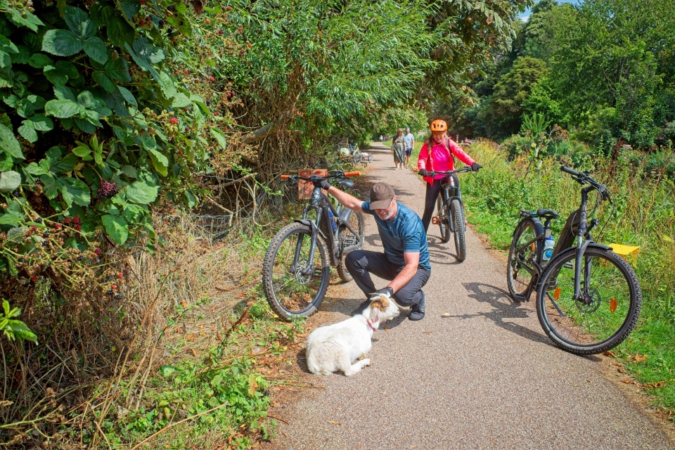 Goat On The Path | BobsBlips | Blipfoto