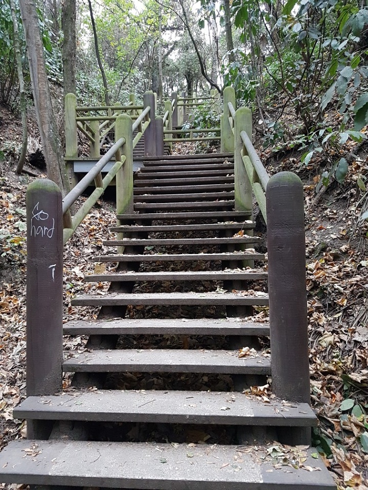 Purau Reserve | wjm53 | Blipfoto