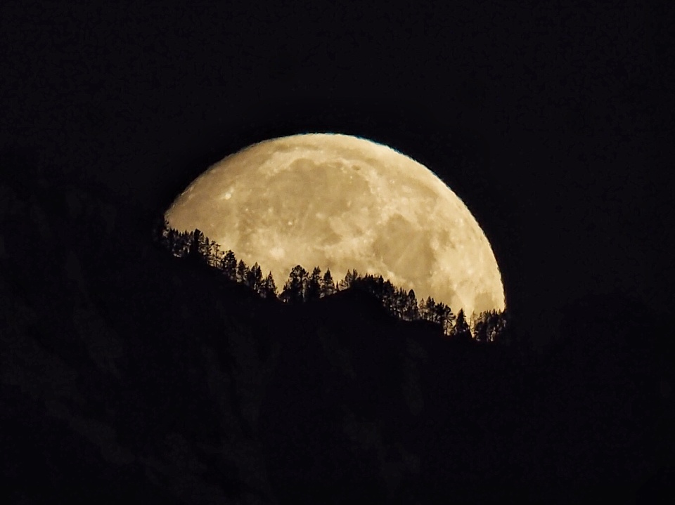 Moon Sinks into the Forest | HilarysView | Blipfoto