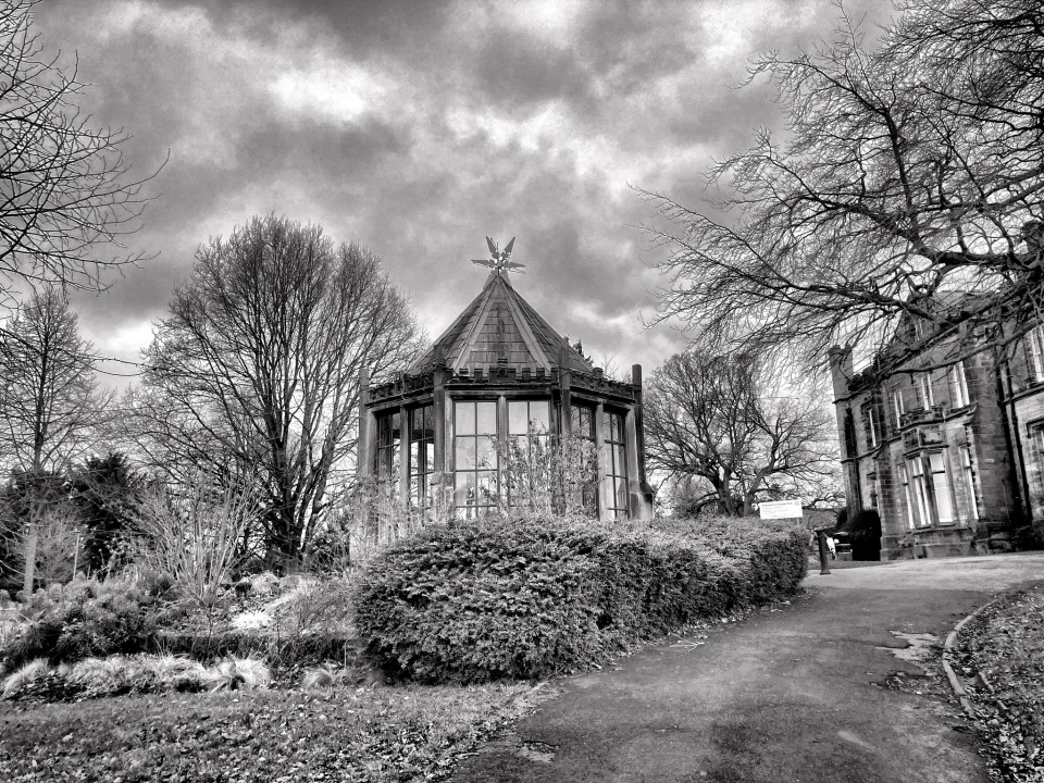 Park Life | mambo | Blipfoto