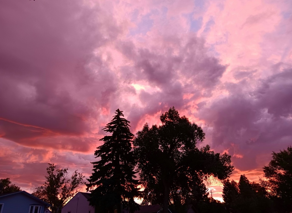 Morning splendor | TiciaS | Blipfoto