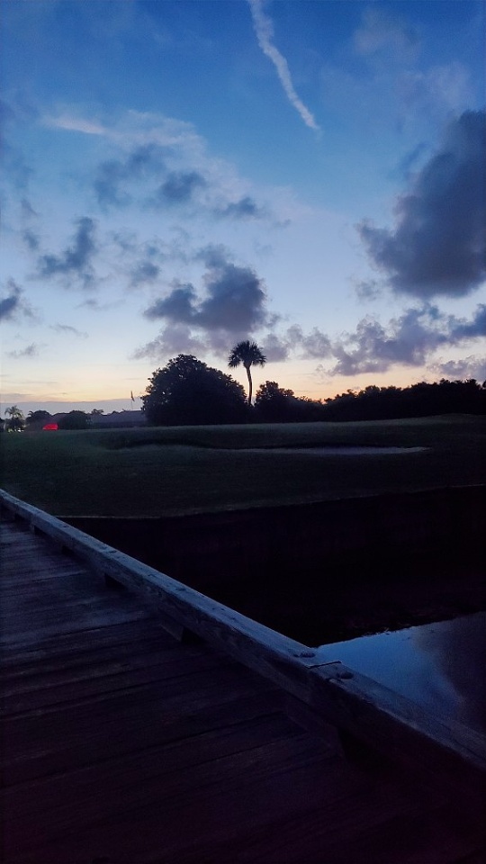 Twilight | LauriesPictos | Blipfoto