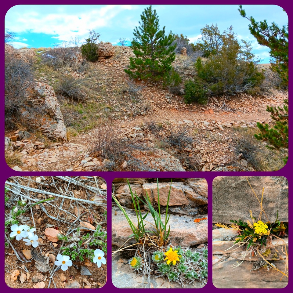 Easter hike | TiciaS | Blipfoto