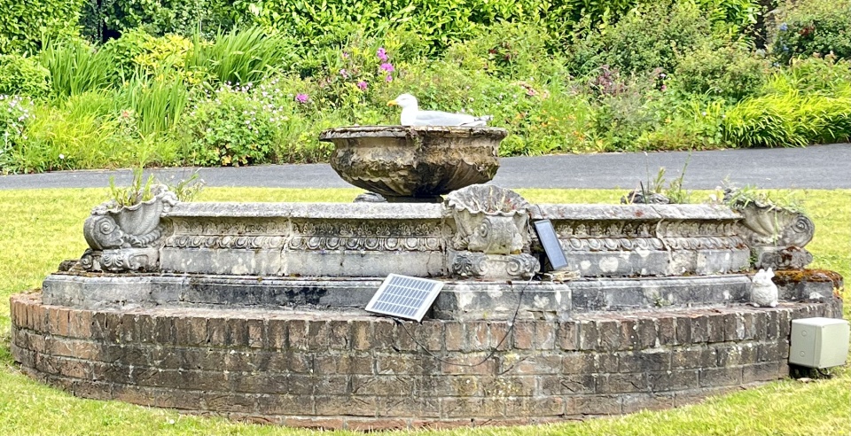 Privacy please | CowgirlCarol | Blipfoto