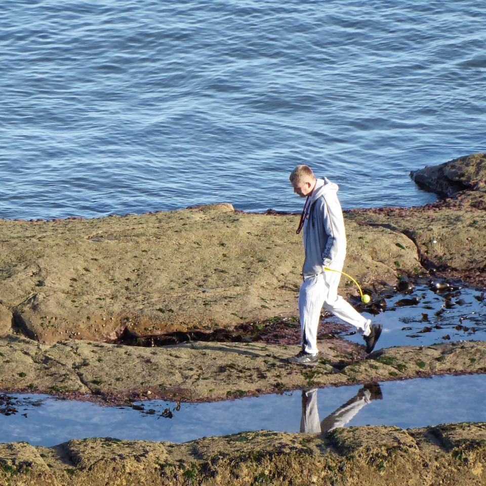 Random dog walker...... | meancoast | Blipfoto