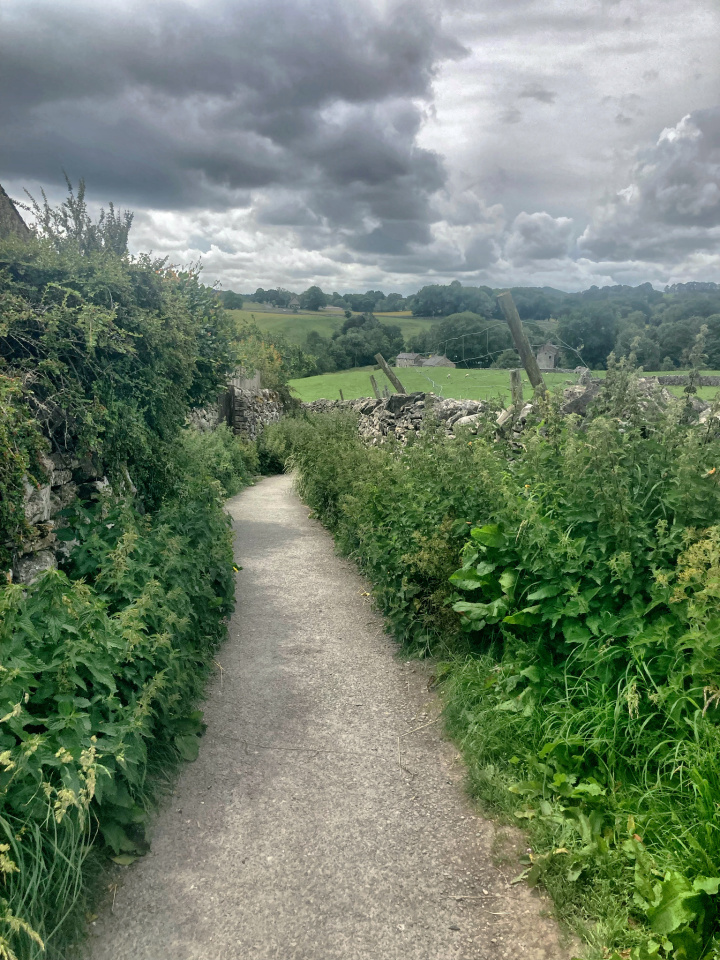 Fresh | mambo | Blipfoto