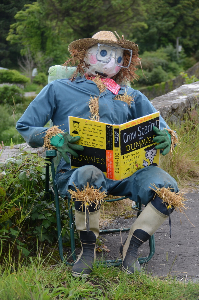 Scaring crows | Maurice1948 | Blipfoto