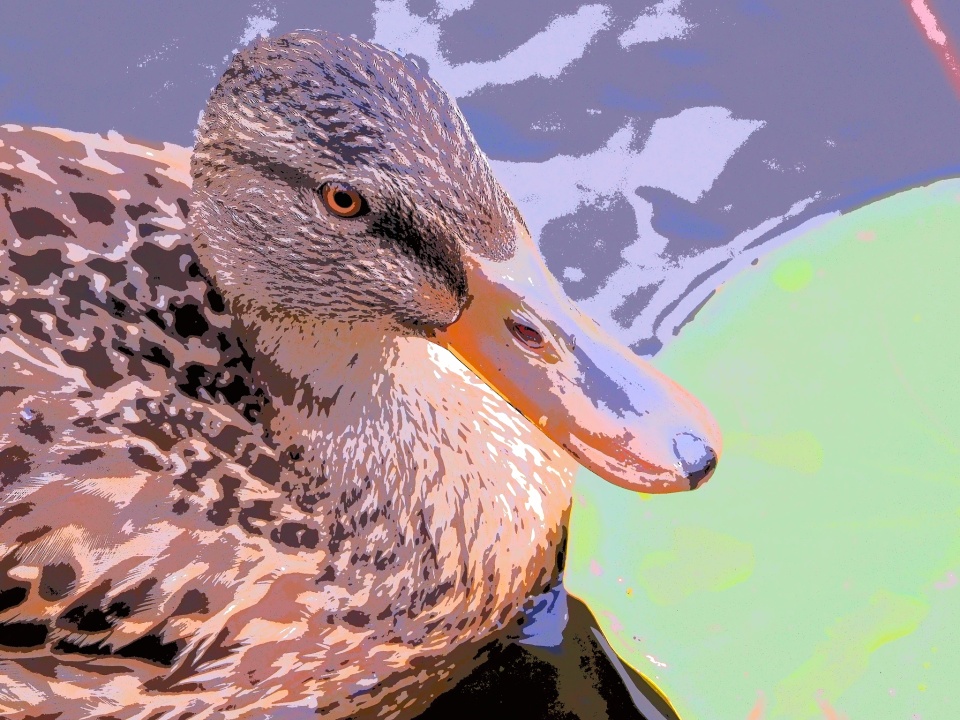 A warm welcome... | pkln | Blipfoto