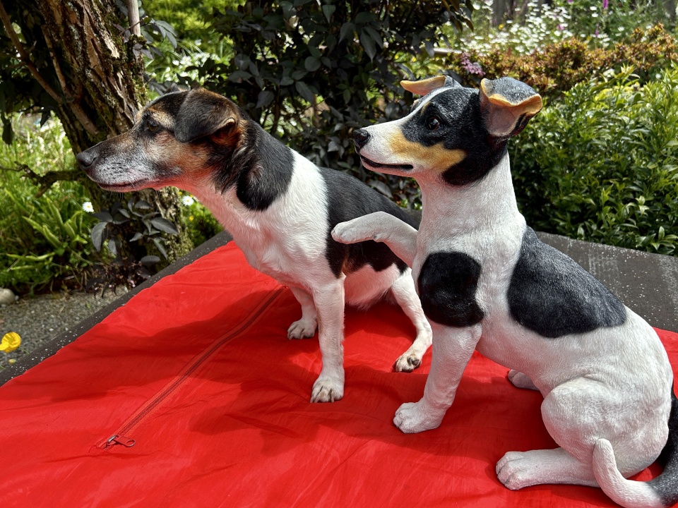 DAISY. | Larchlea | Blipfoto