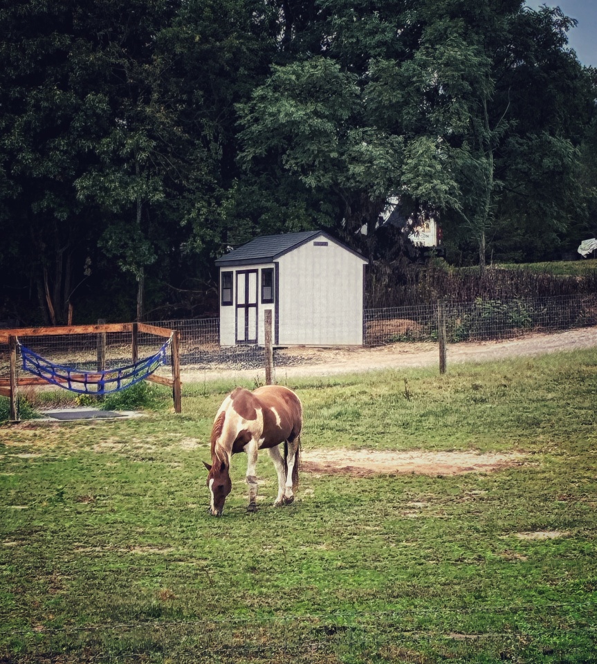 Rain | Evie11 | Blipfoto