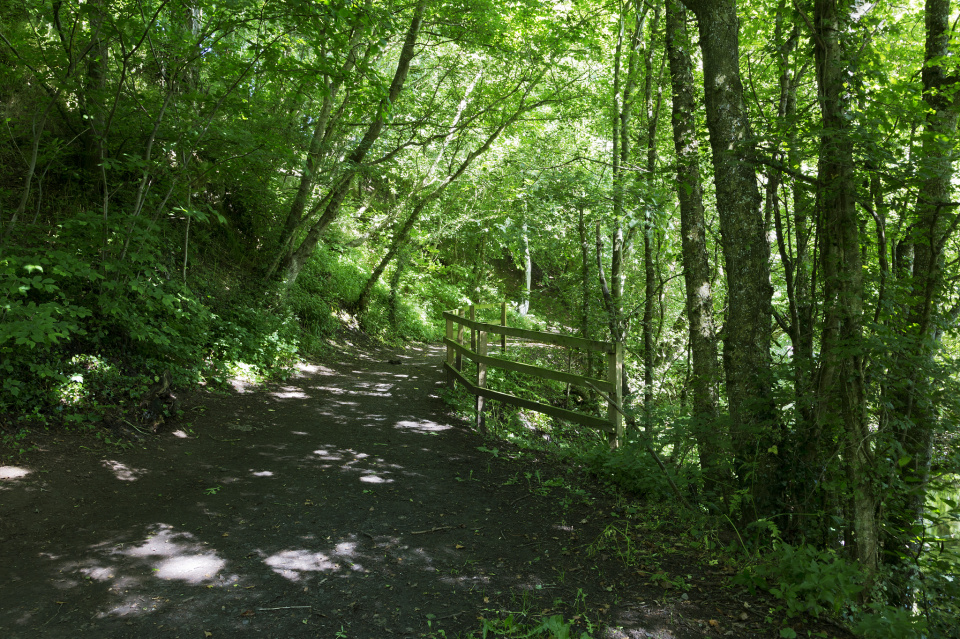 At Craighall Den. | JeanSnaps | Blipfoto