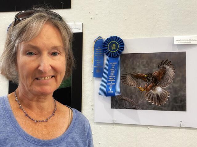 Surprise! | dbifulco | Blipfoto