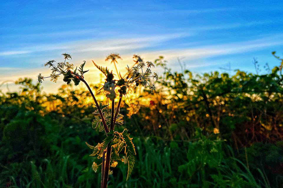 Dawn | captureasecond | Blipfoto